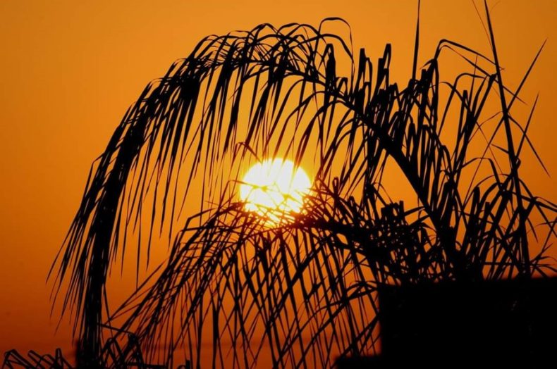 Nabil Nasser-Aldin - World Virtual Museum | Artist and art from all ...