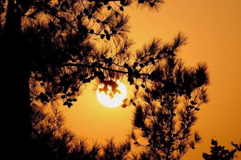 Nabil Nasser-Aldin - World Virtual Museum | Artist and art from all ...