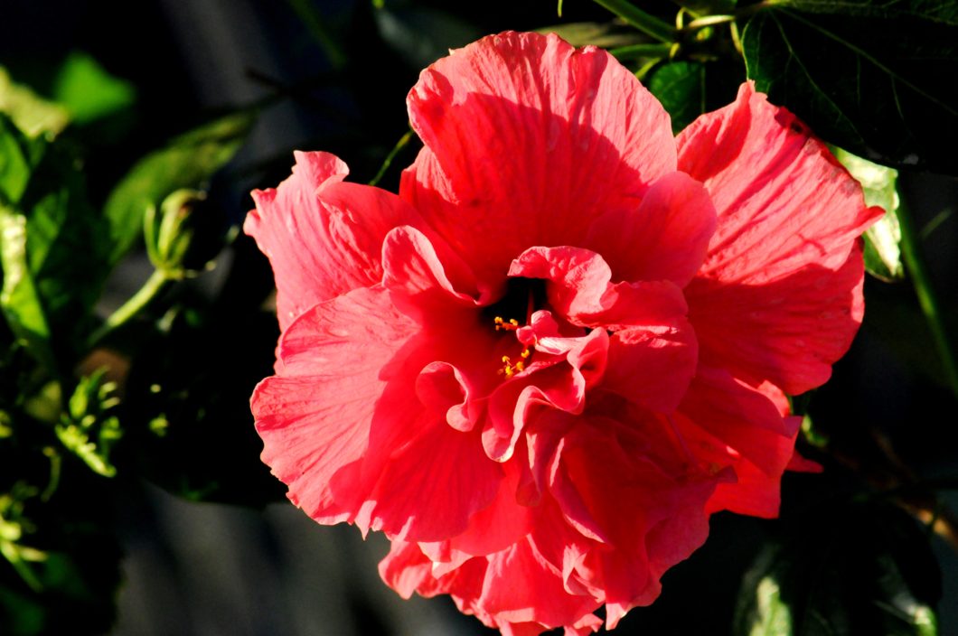 Nabil Nasser-Aldin - World Virtual Museum | Artist and art from all ...