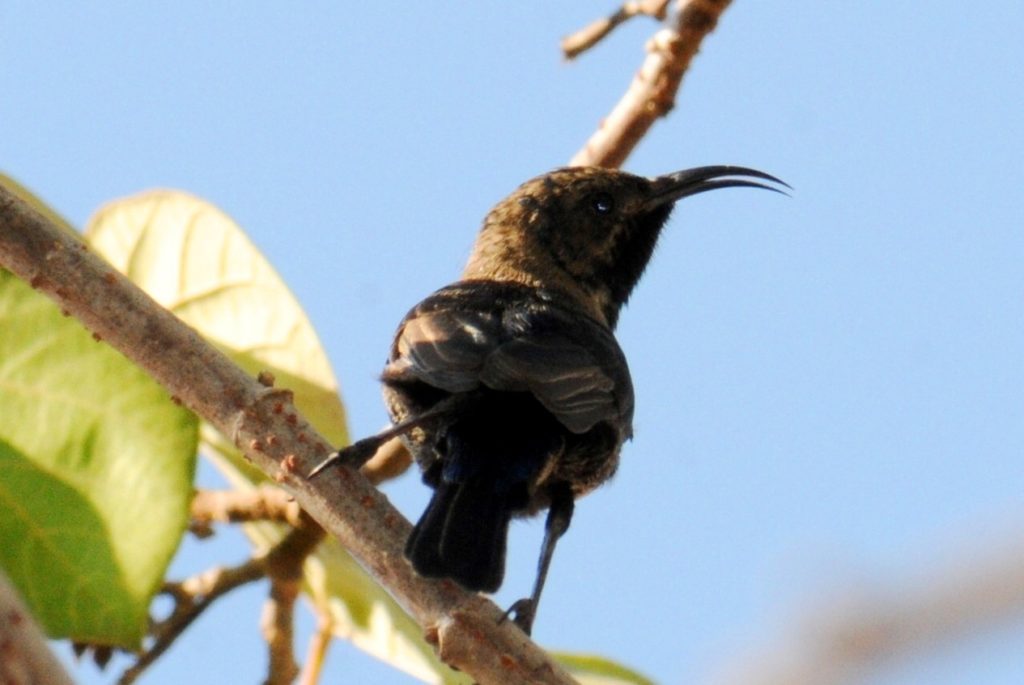 Nabil Nasser-Aldin - World Virtual Museum | Artist and art from all ...