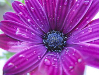 ROSITA LARSSON - World Virtual Museum | Artist and art from all over ...